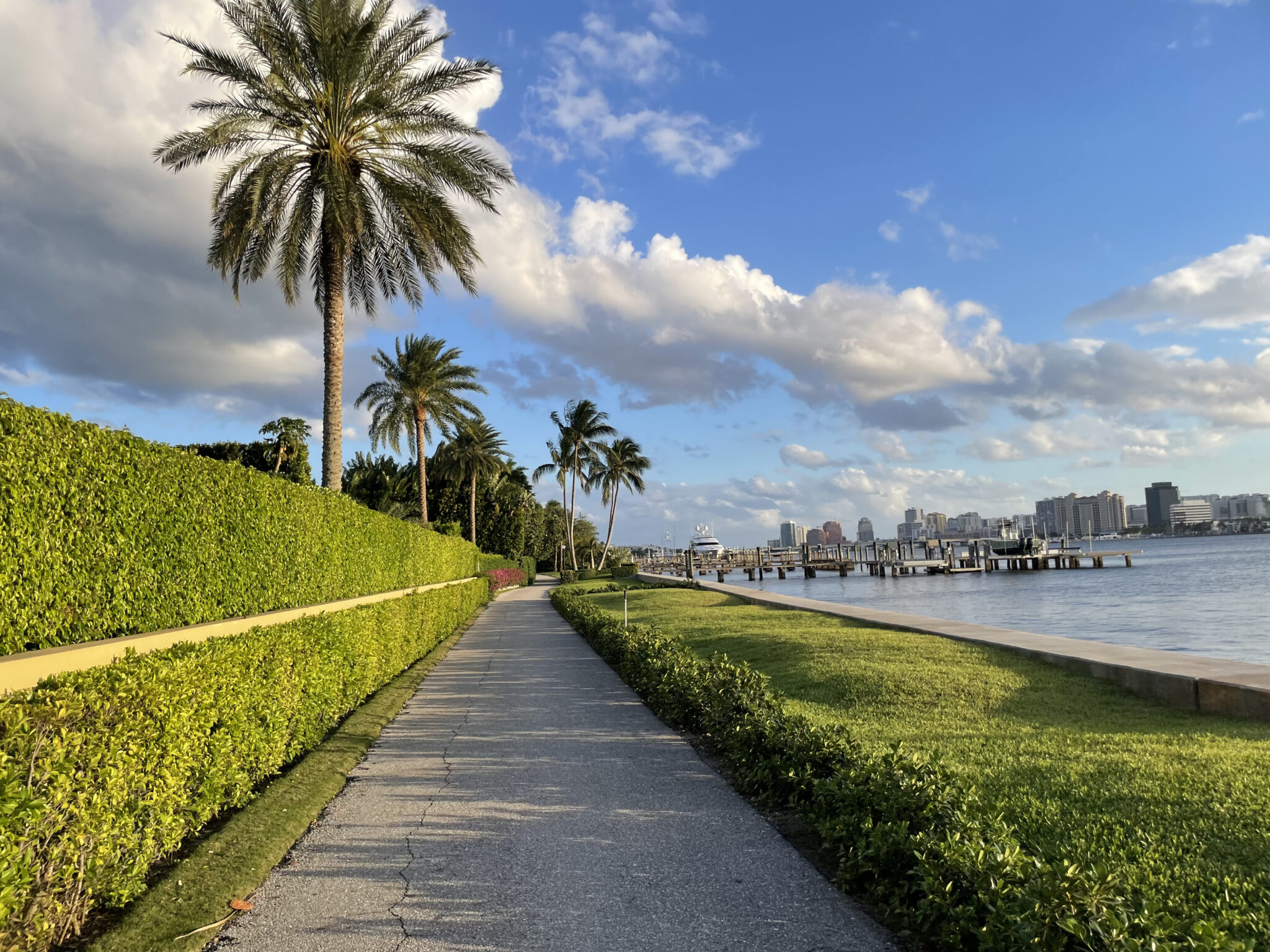 Services - Sunshine Dermatology | Dermatology Wellington | Dr. Apphia ...